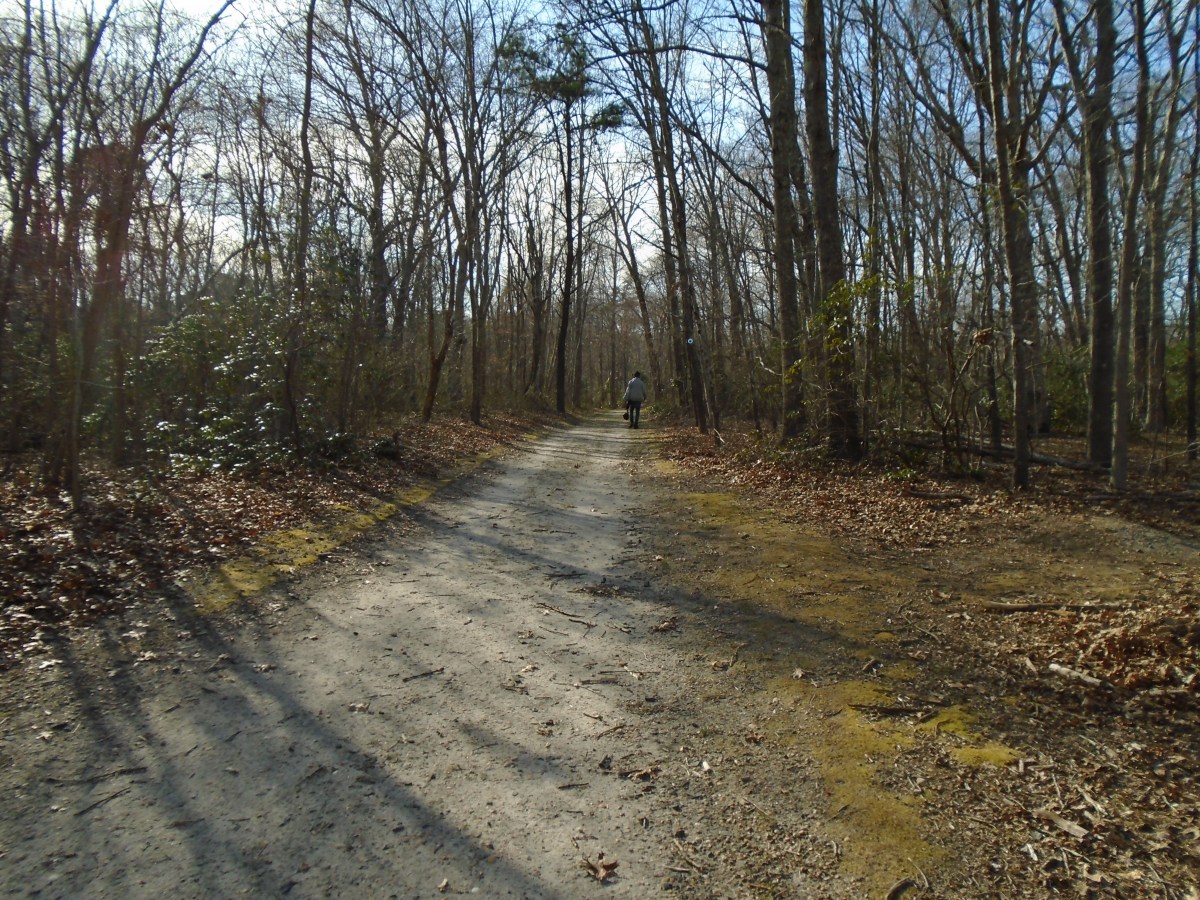 Shark River Park Travel Guide (NJ Recreation) – The Millennial Farmhouse